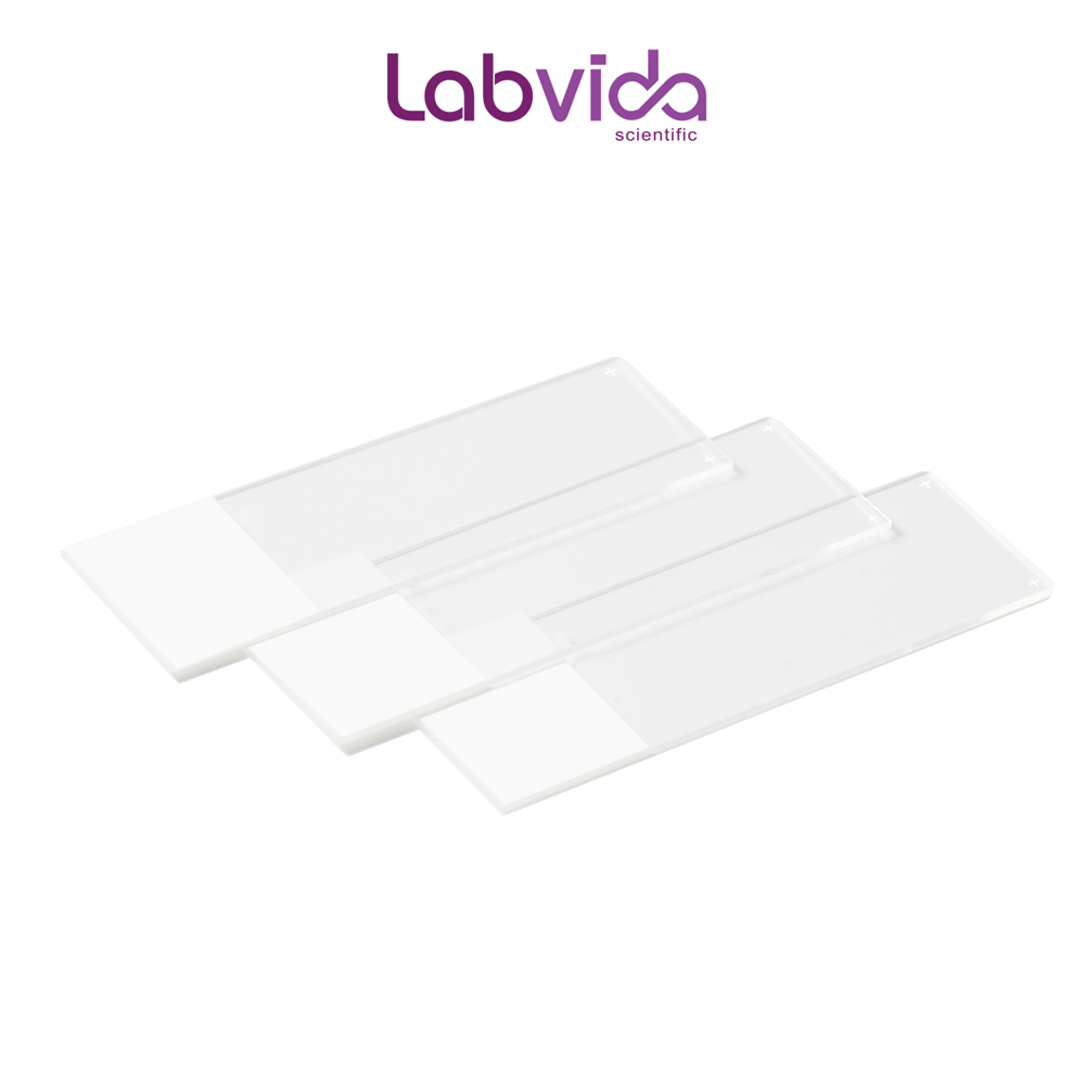 Adhesion Microscope Slides - Buy Adhesion Microscope Slides Product on ...